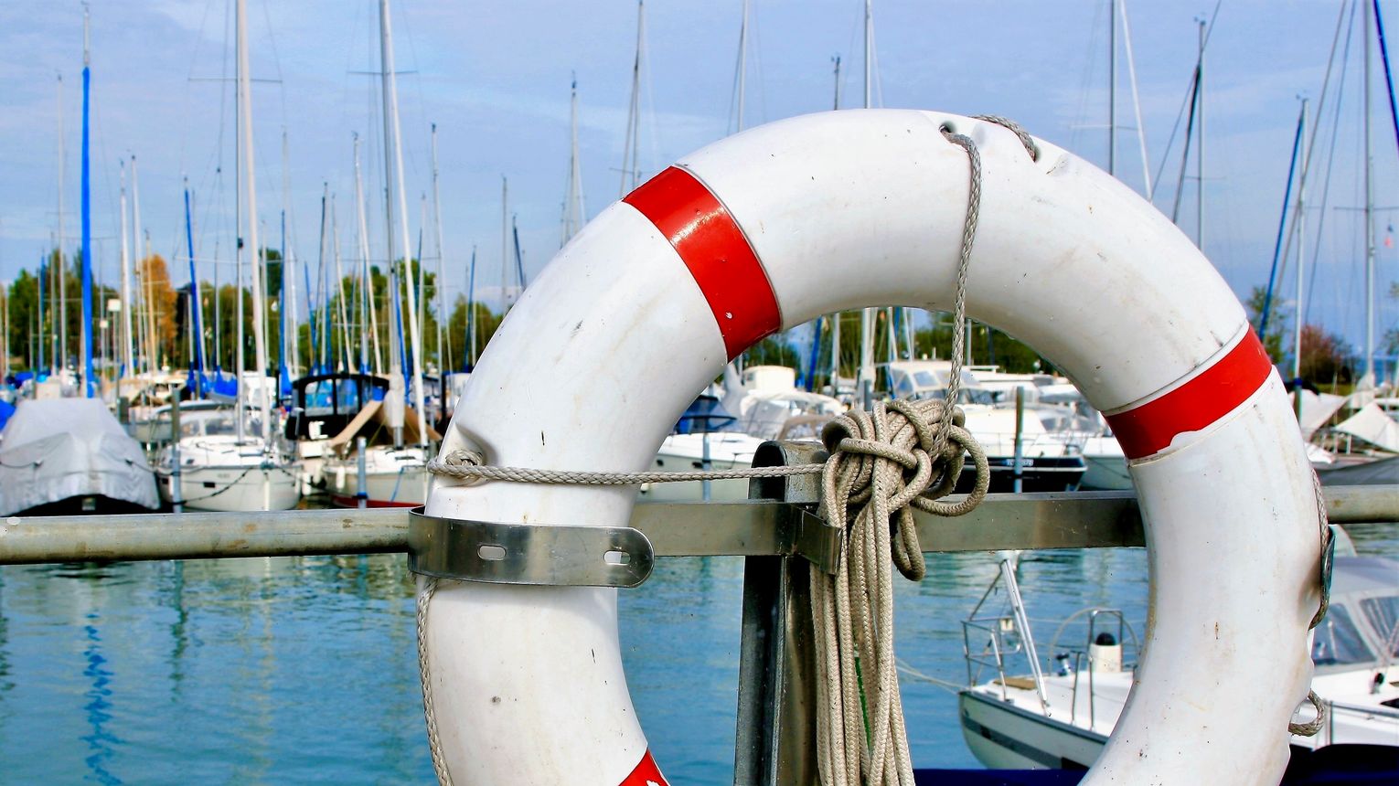 Halo Tu Przystań. Marynistyczna impreza pod braniewską wieżą